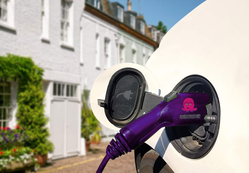Q&A with Fiona Howarth, CEO Octopus EV